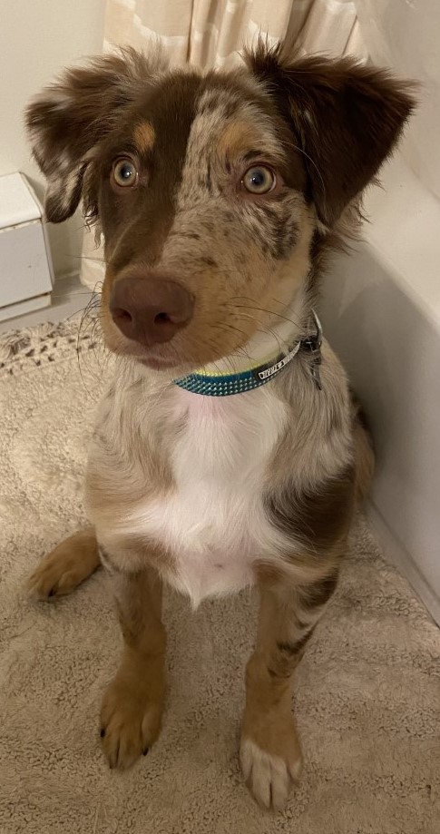 PEOPLE – The Anthony lab